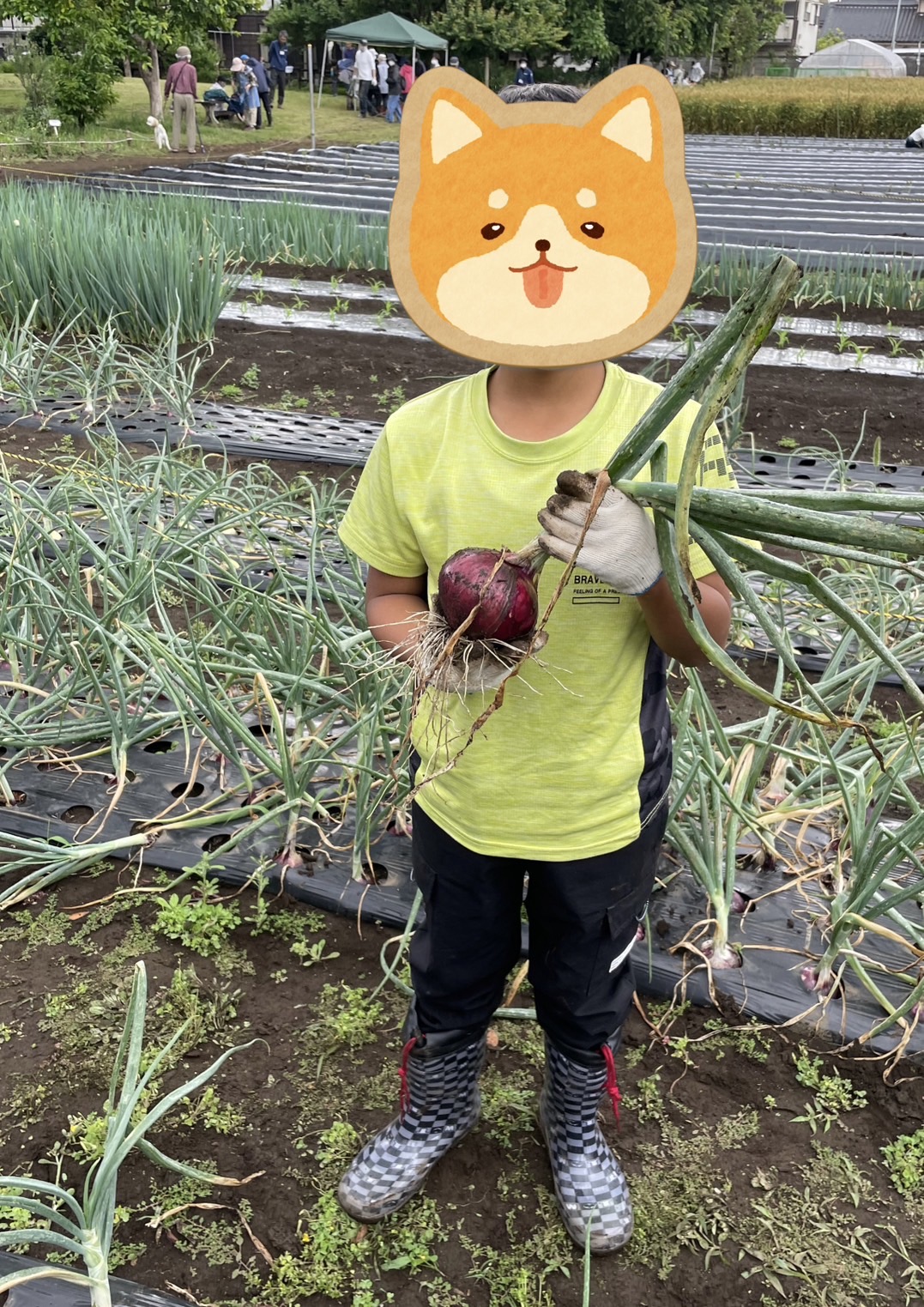 【苗植え】してきました。何ができると思いますか？ - オンライン理系専門塾プロパス